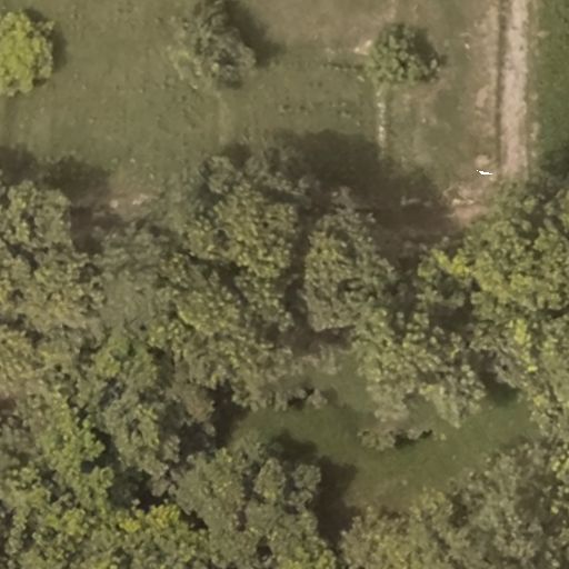 How To Use The Mango Fyp Object Detection Api