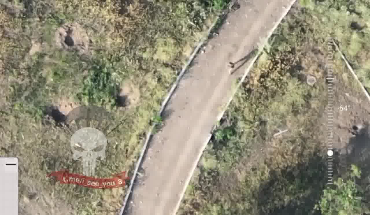 uav-people Object Detection Dataset by uavpeople