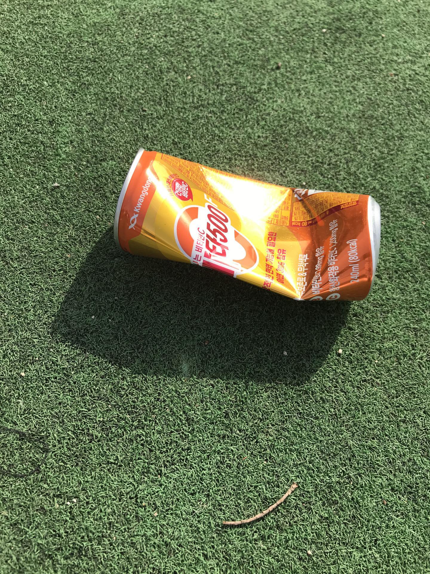 can Object Detection Dataset by ECOSIFT