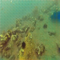 underwater objects Object Detection Model by Roboflow 100