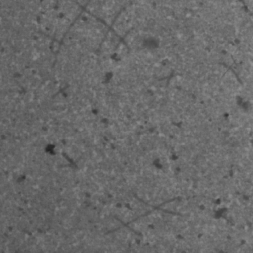 asbestos Object Detection Model by Roboflow 100