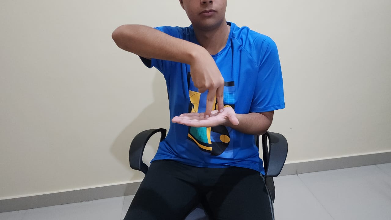 Hand gesture (stand) Object Detection Dataset by Abeer