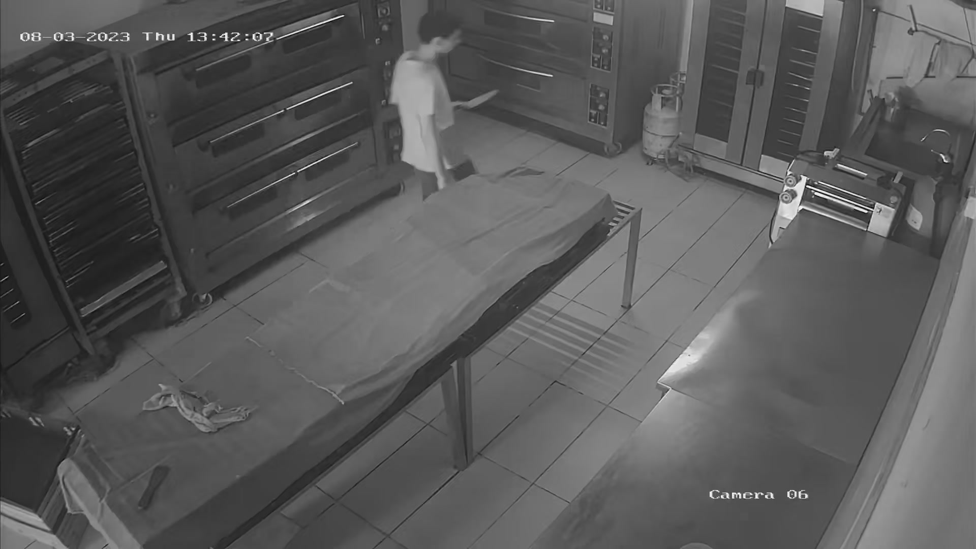 BDGK Object Detection Model by Fend Tech