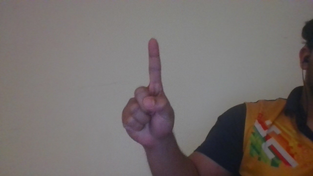 Hand_gest Object Detection Dataset by new-workspace-ralyy