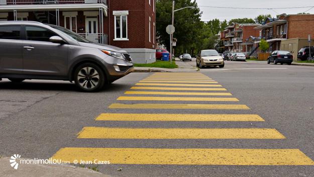 pedestrian pathway Object Detection Model by MeganeResearch