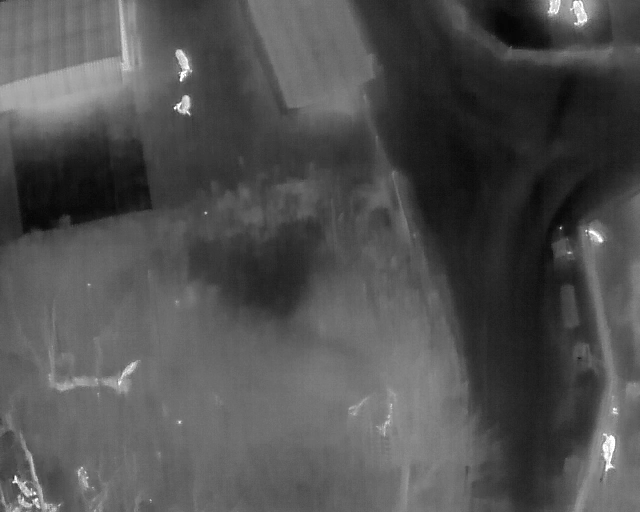 thermal animals Object Detection Dataset by object detection