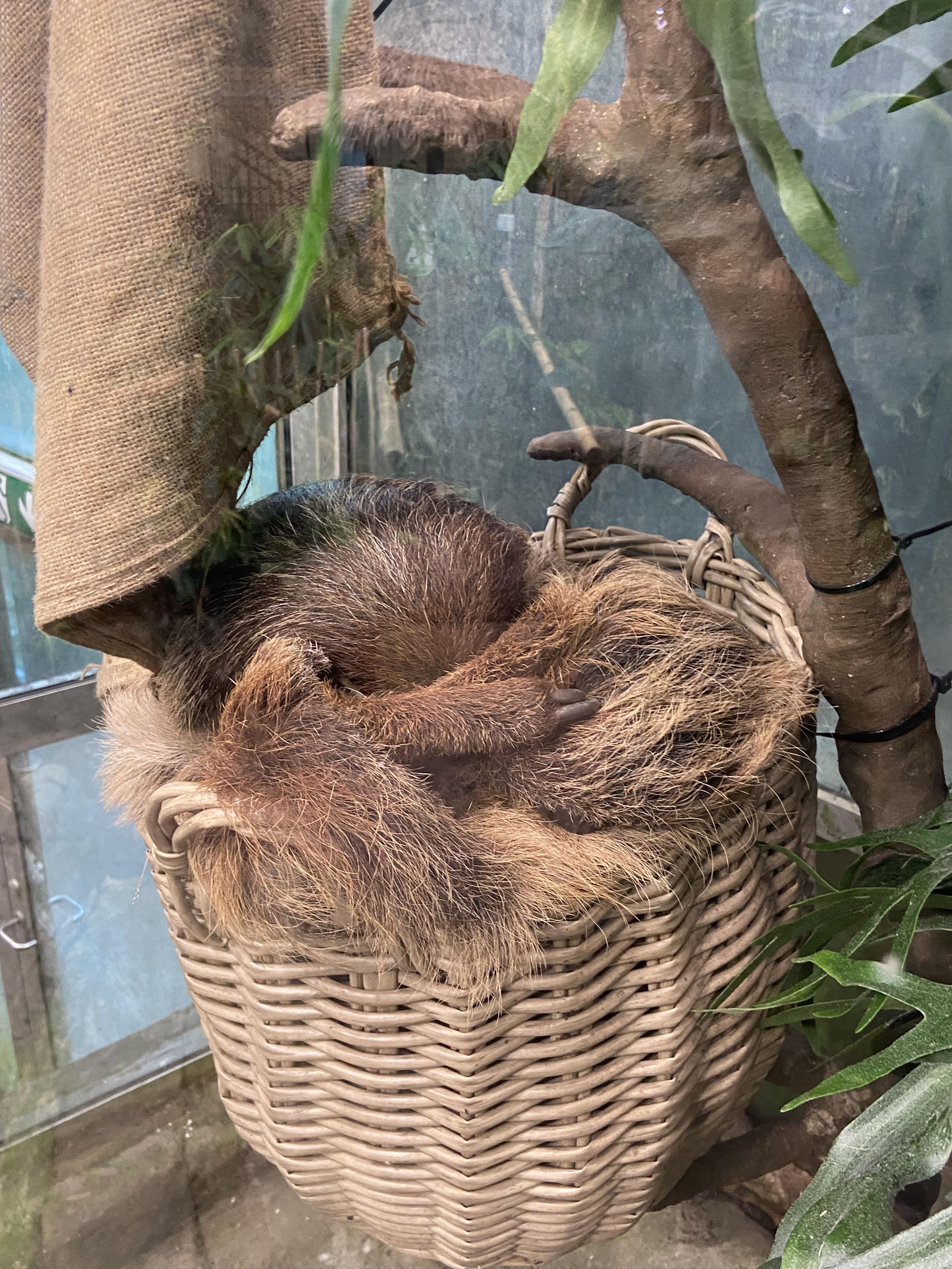 Dml All Data Object Detection Dataset By Linn 6348