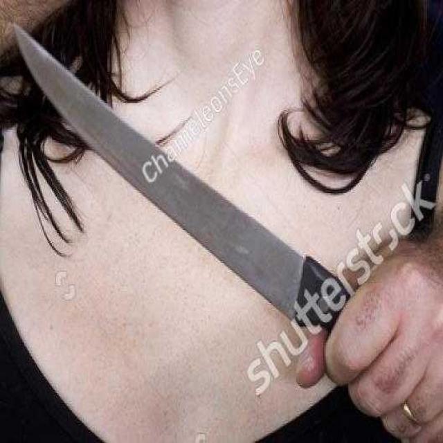 Weapon Detect Object Detection Dataset And Pre Trained Model By Car Detect