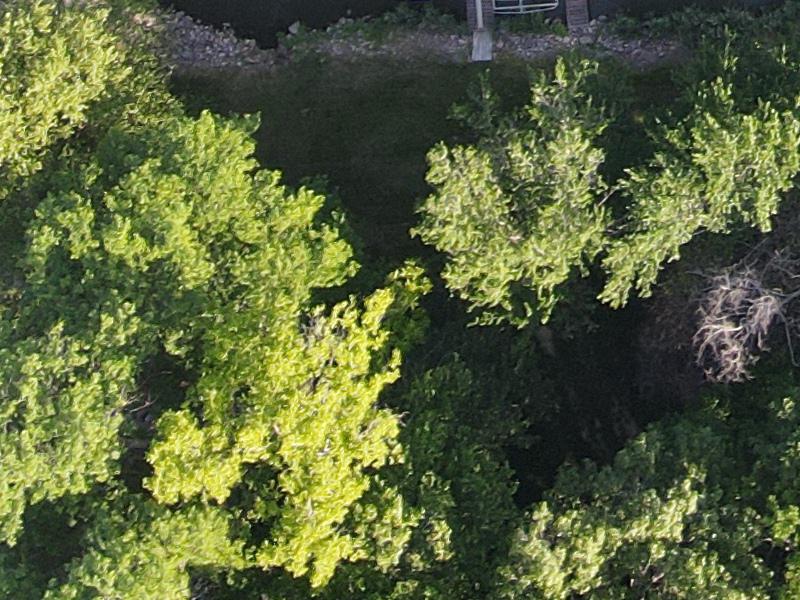 cam objects detect Object Detection Dataset and Pre-Trained Model by ...