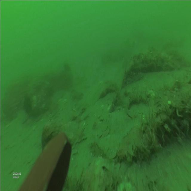 Underwater Object Detection Object Detection Dataset And Pre Trained