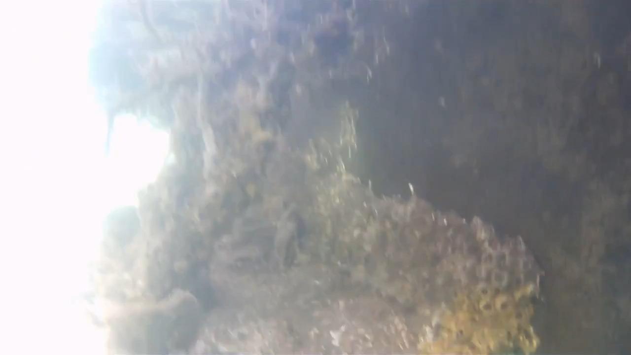 Underwater Object Detection Object Detection Dataset And Pre Trained