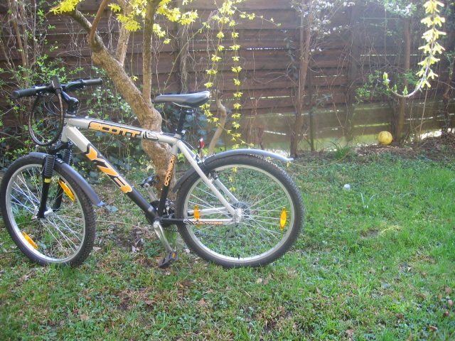 Ganesh Object Detection Model by Netcon Technologies