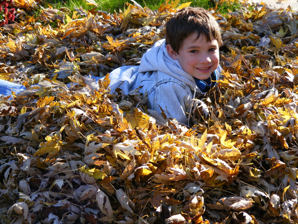 HAR_ACTIVITY Object Detection Dataset by HAR