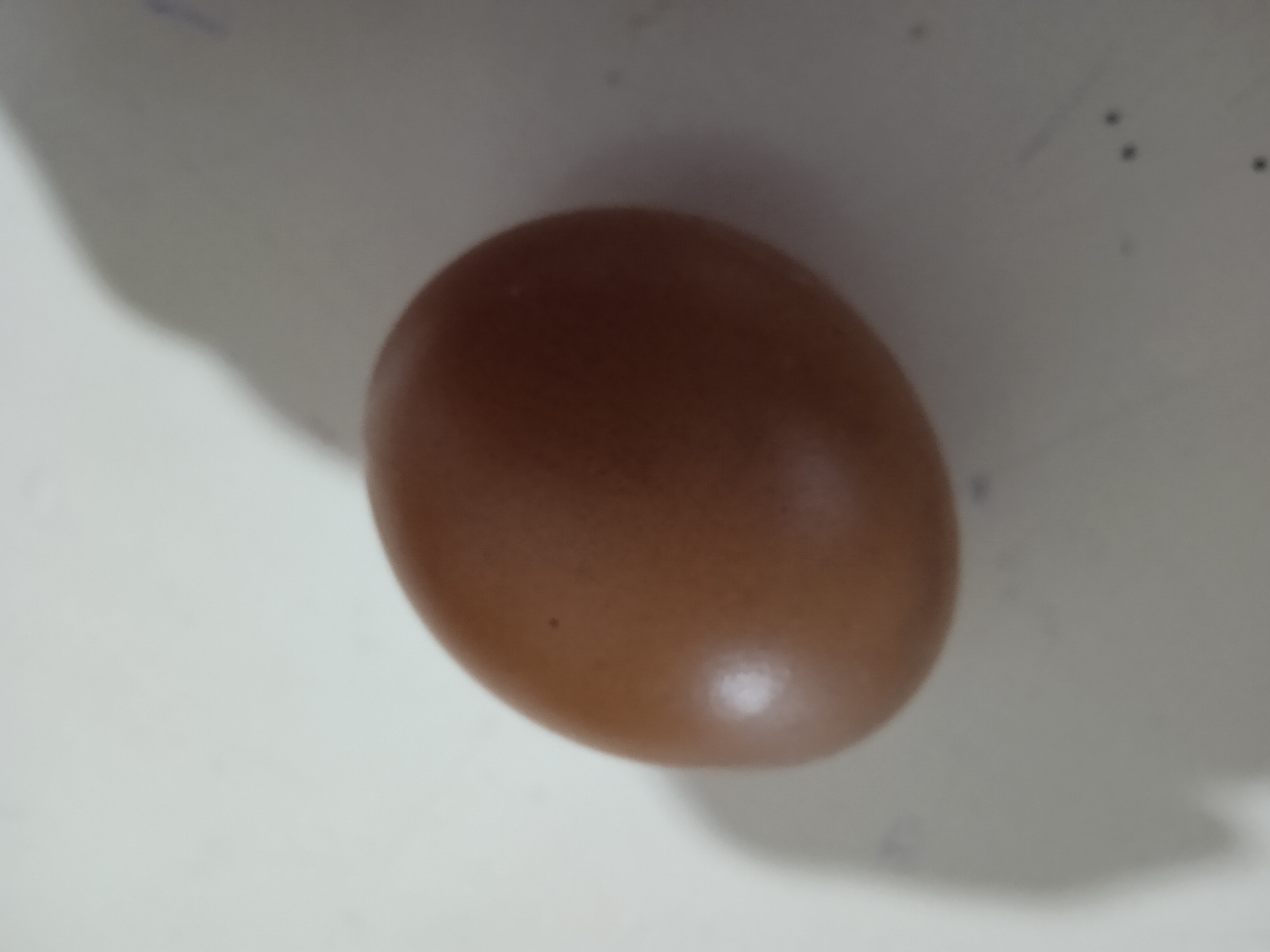 Eggs Detection Roboflow Universe