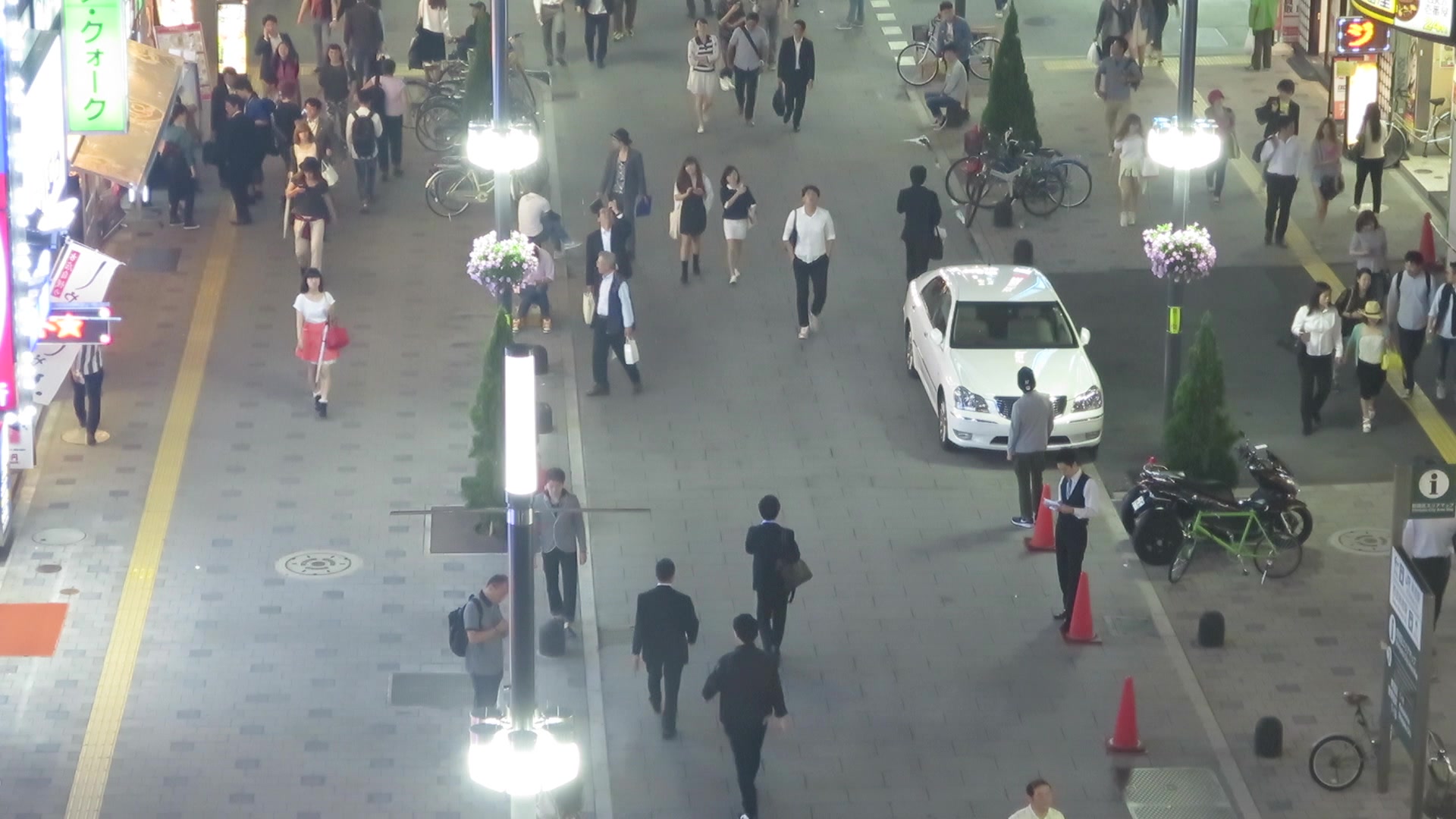 How to Use the My First Project Object Detection API