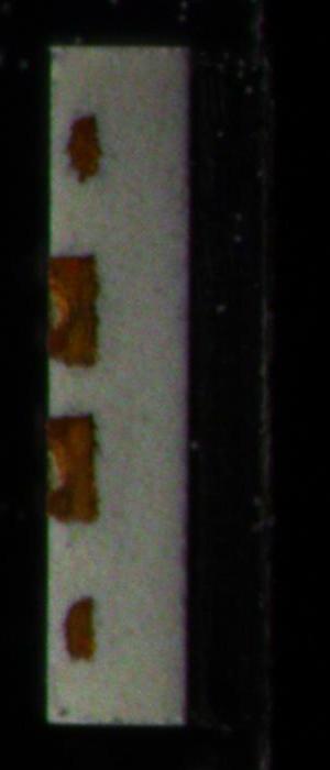 Calla_IT69 Object Detection Dataset by ZX Share Workspace2