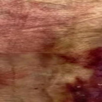 Kritouch - Roboflow Universe