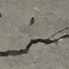 Sweekar (sweekar-q9fal) - Roboflow Universe