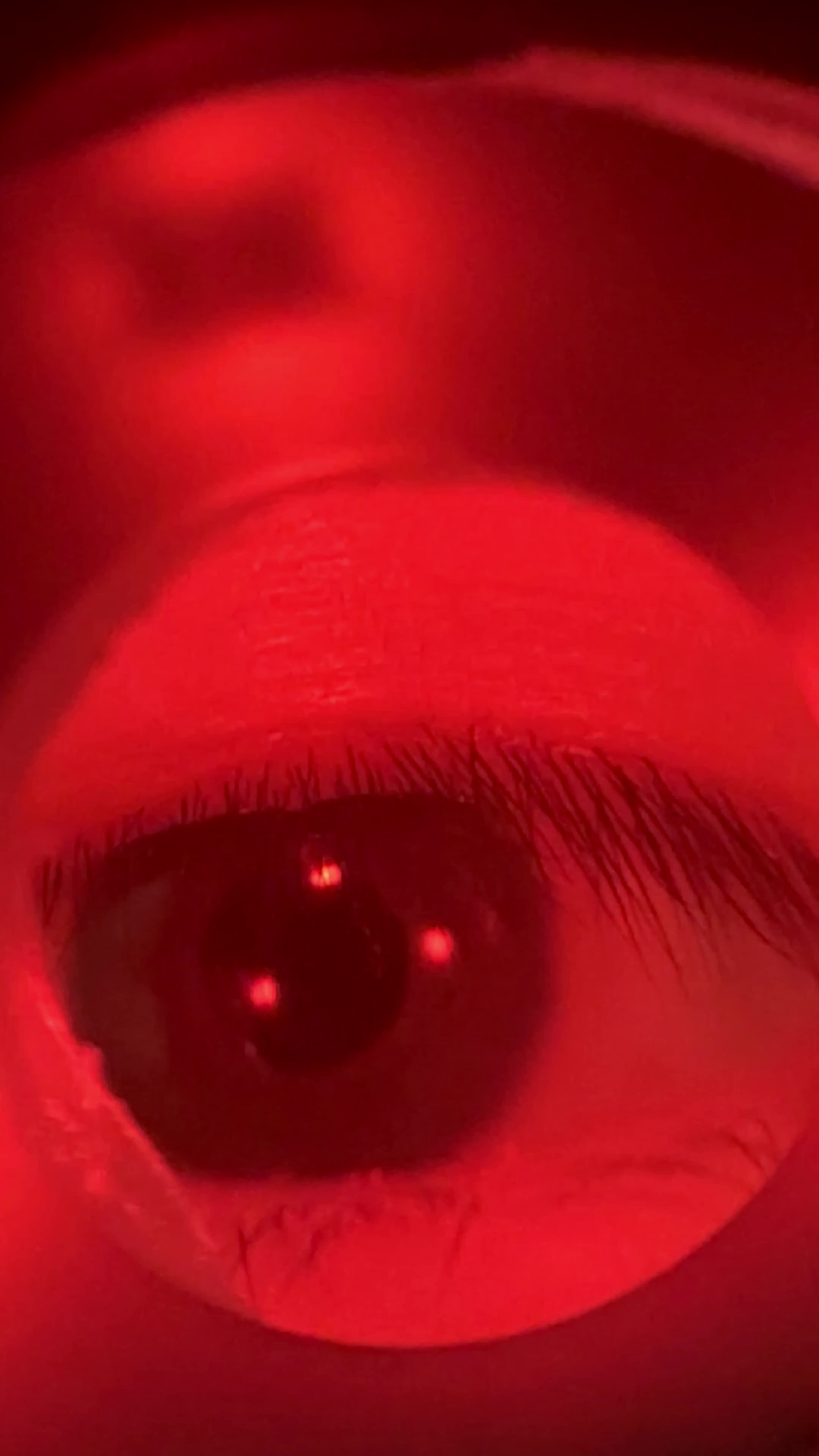 How to Use the pupilX Instance Segmentation API