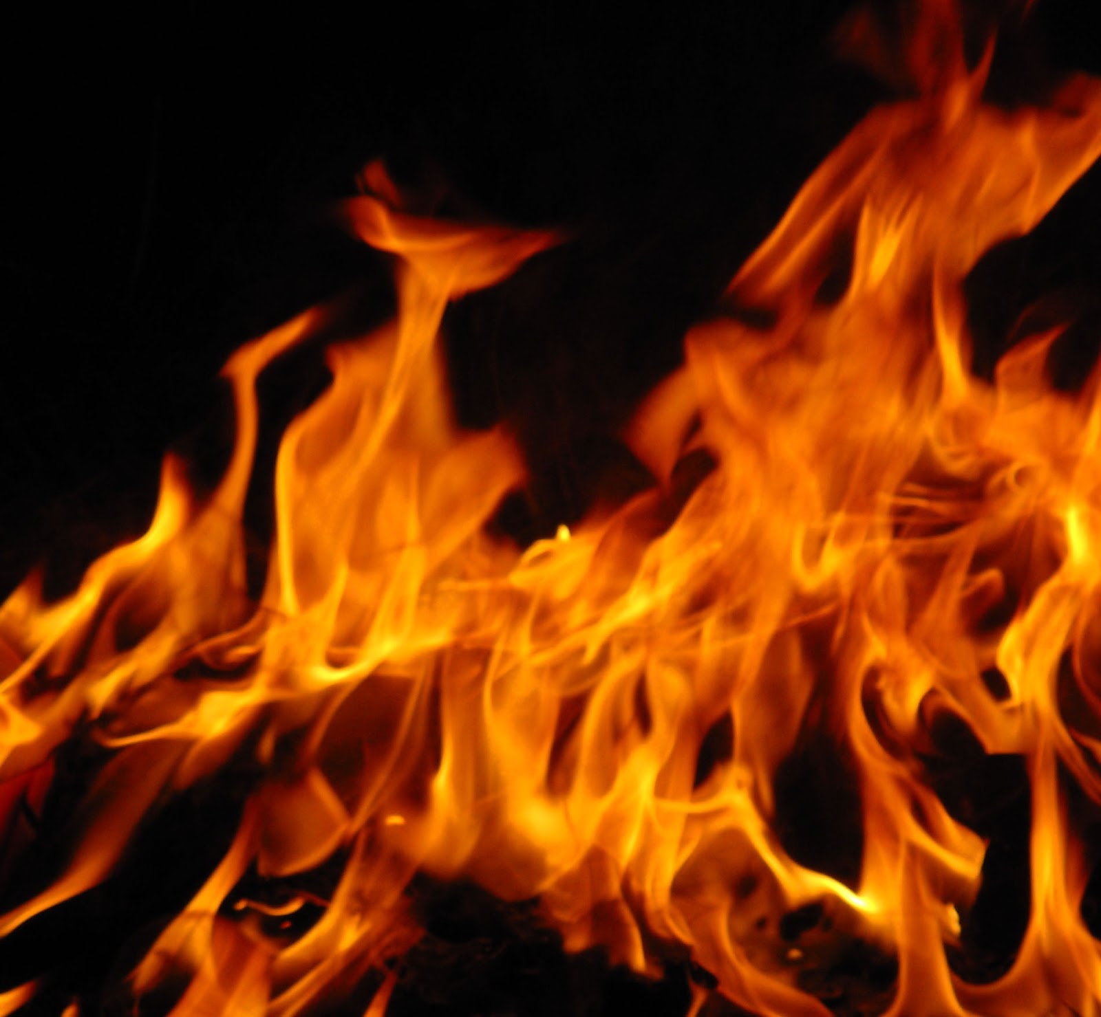 fire Object Detection Model by Mz7414