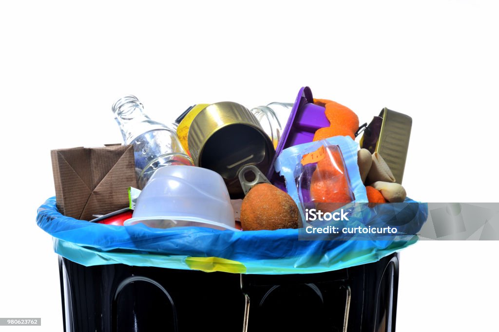 Waste Contamination Detection Instance Segmentation Dataset and Pre-Trained Model by 360DigiTMG