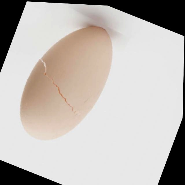 Egg_Cracks Object Detection Dataset by Egg segmentation