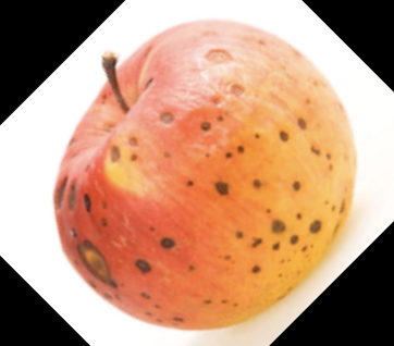 fruit_classification Instance Segmentation Dataset and Pre-Trained Model by fruitclassification