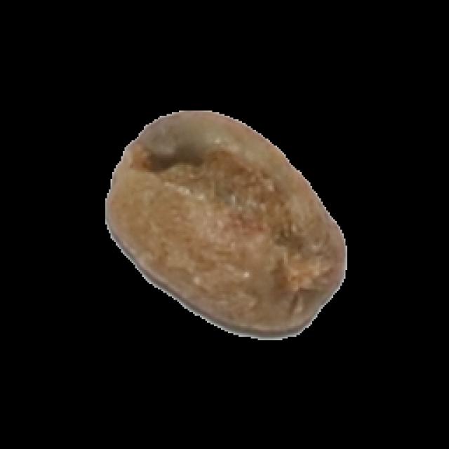 rudia - Roboflow Universe