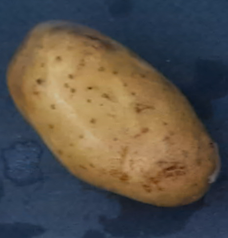 Potato_tuber Instance Segmentation Dataset and Pre-Trained Model by Potatoseg