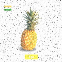 NgocTraiDua - Roboflow Universe