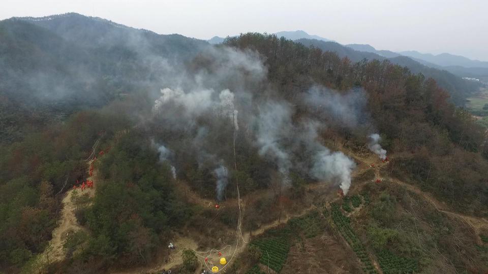 alev Object Detection Dataset and Pre-Trained Model by kipri