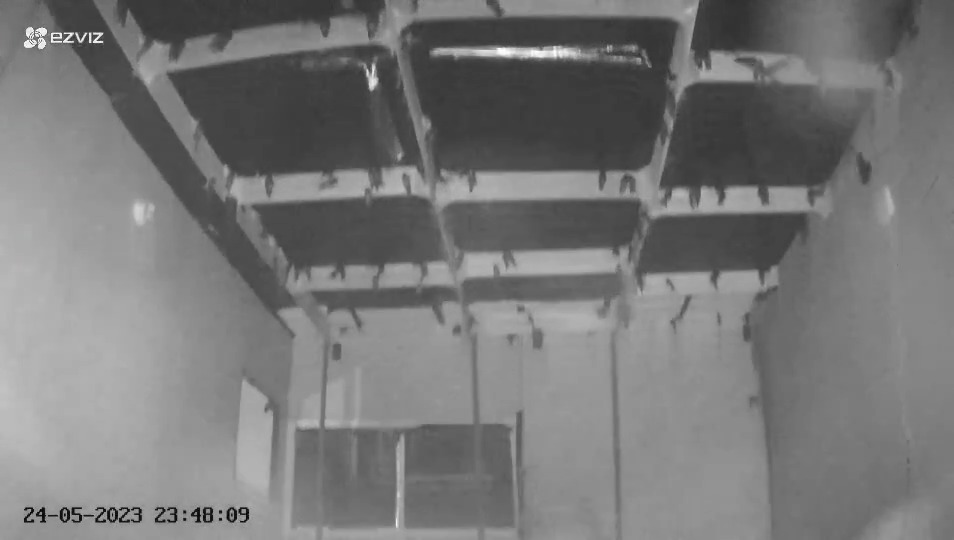 Count_Bird Object Detection Dataset and Pre-Trained Model by EGGTray