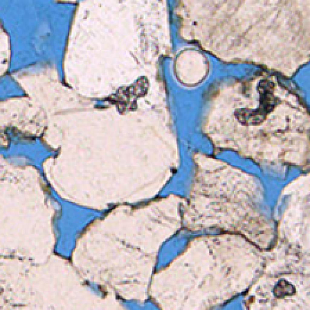 Grain Segmentation Semantic Segmentation Dataset By Yohanes Nuwara