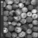 waste detection Object Detection Model by garbage