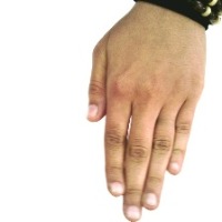 handpose Keypoint Detection Dataset by Lamar university