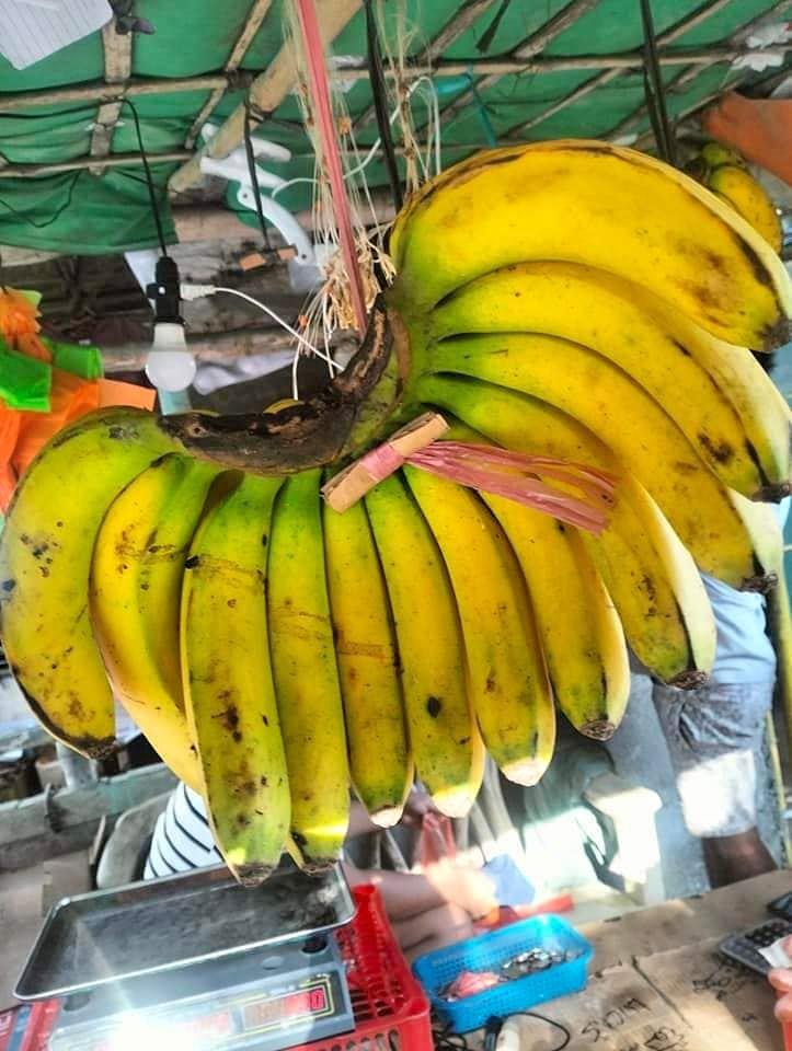 Banana Maturity Object Detection Model By Ripeness