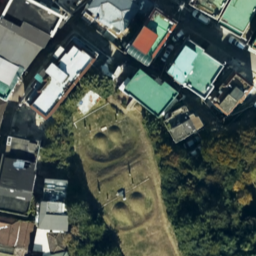 2022 LAST Instance Segmentation Dataset and Pre-Trained Model by CUT