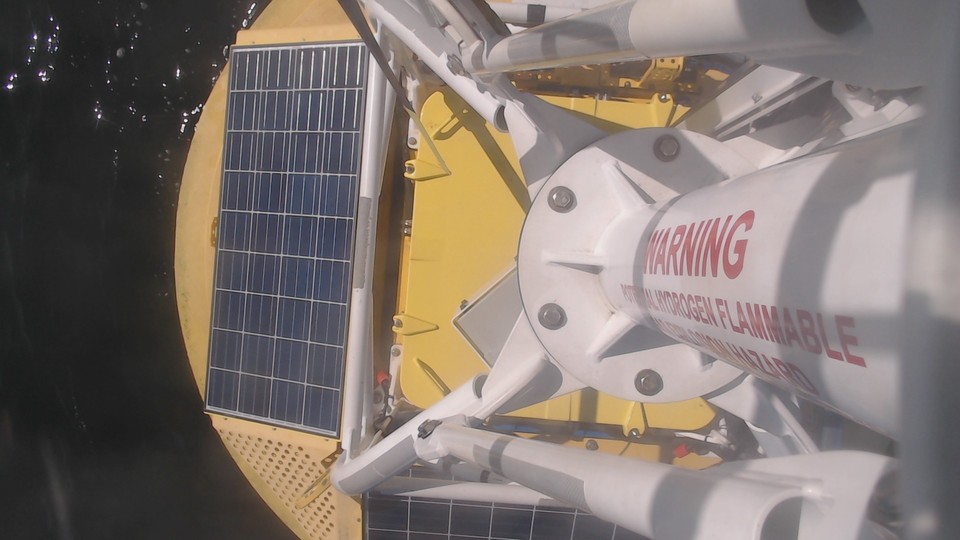 sea_lions Object Detection Dataset by Ian Black