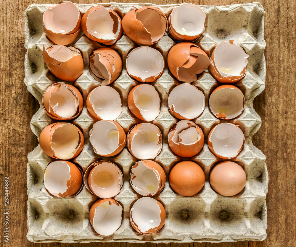 Yolov8 Object Detection Dataset and Pre-Trained Model by Yolov8