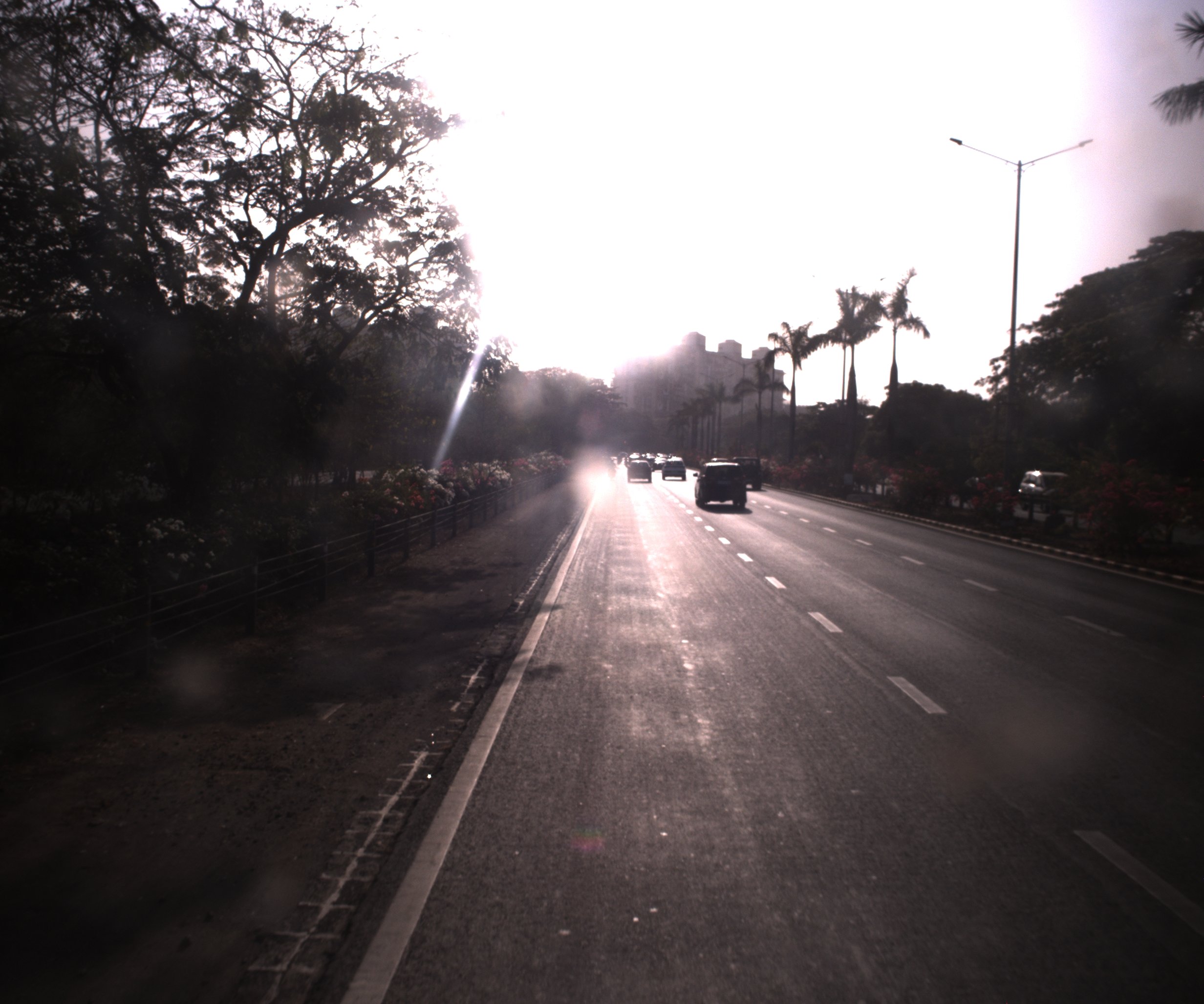 Shoulder_width & Lane Marking Instance Segmentation Dataset by RFbarrier