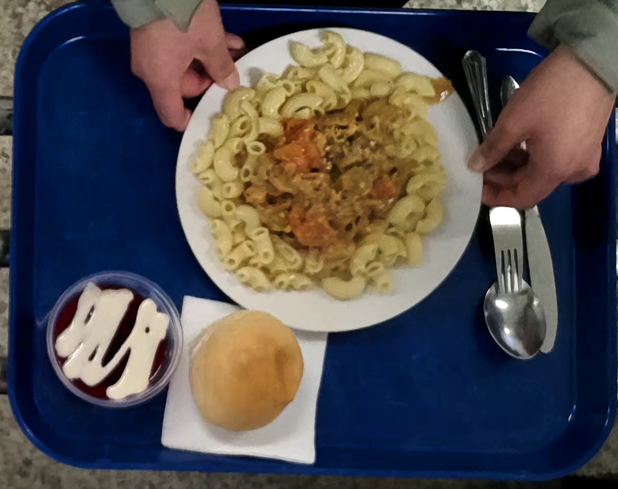 Segmentacion Instance Segmentation Dataset and Pre-Trained Model by Segmentacioncomida