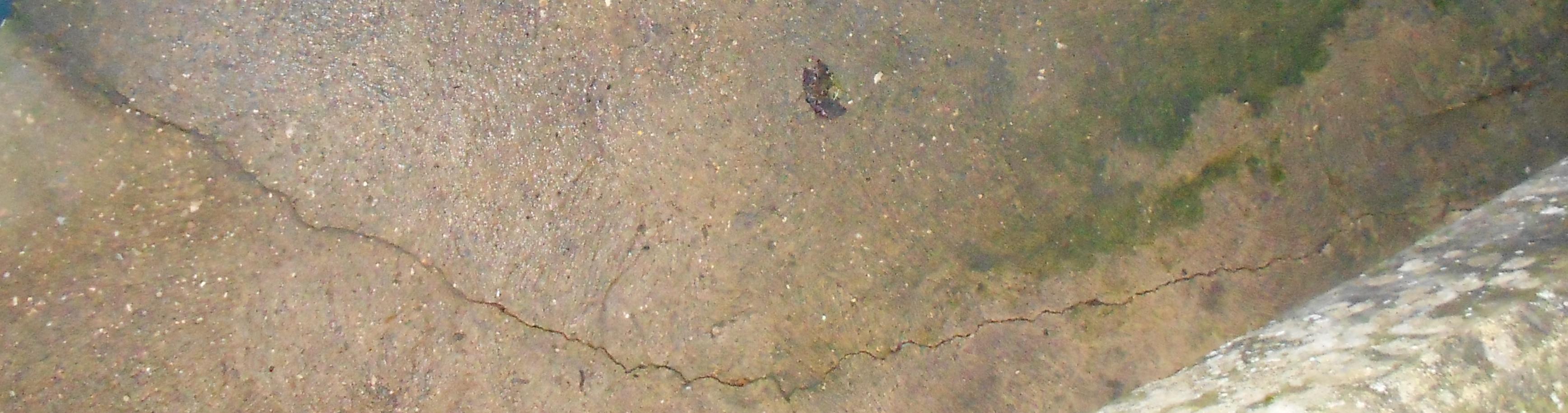 Concrete Defect Detection Object Detection Dataset And Pre Trained Model By Deep