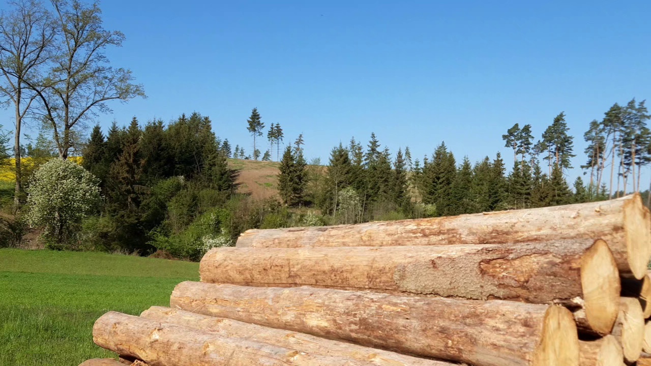 log Object Detection Dataset by techling