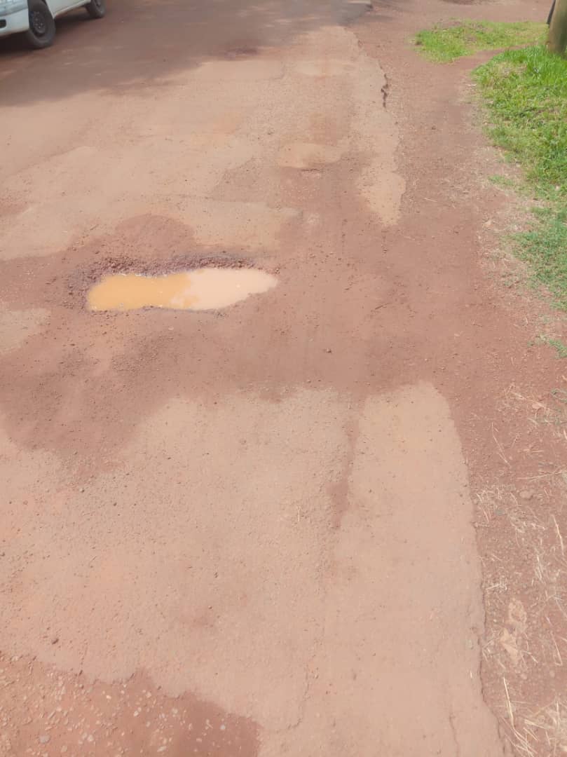 Obstacles Object Detection Dataset And Pre Trained Model By Yolodataset