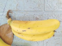 drone (drone-bxvh2) - Roboflow Universe