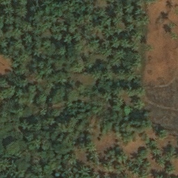 Forest Cover Monitoring Object Detection Dataset by Deforestation Research