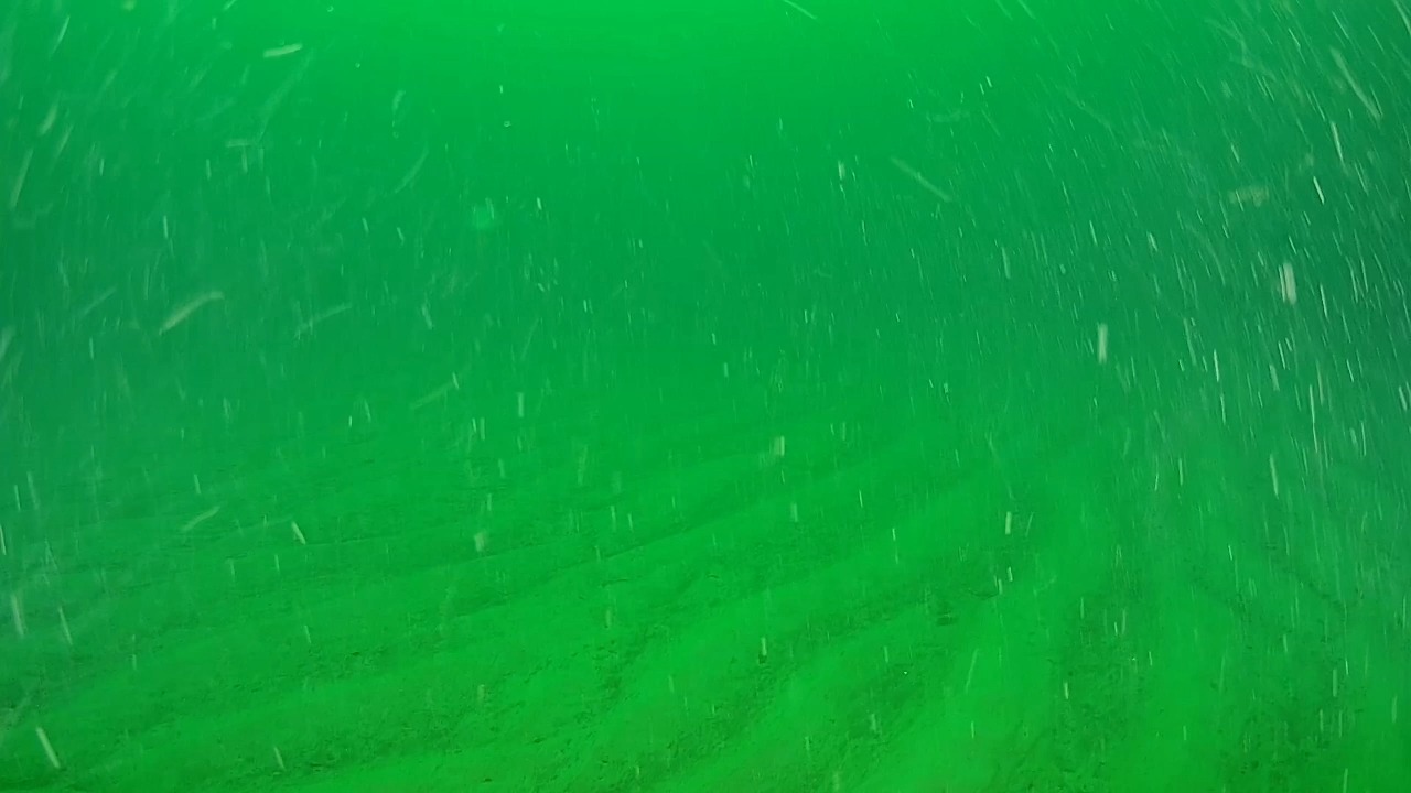 Shallow water _substrate Instance Segmentation Model by university