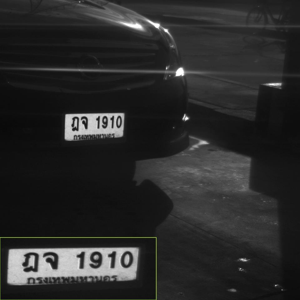 License Template Object Detection Dataset By Coconut Count Dataset