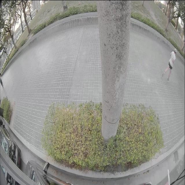 person detection Object Detection Dataset by huseyin