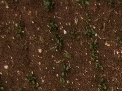 sus Object Detection Model by hd